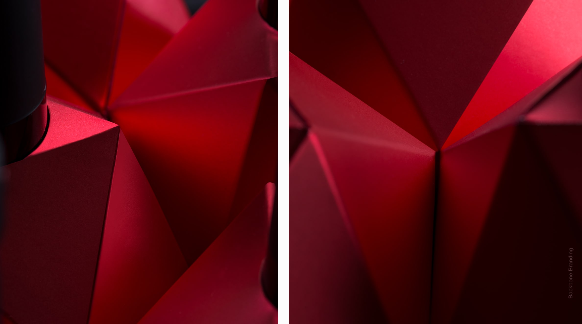 RUBIN Branding - Backbone