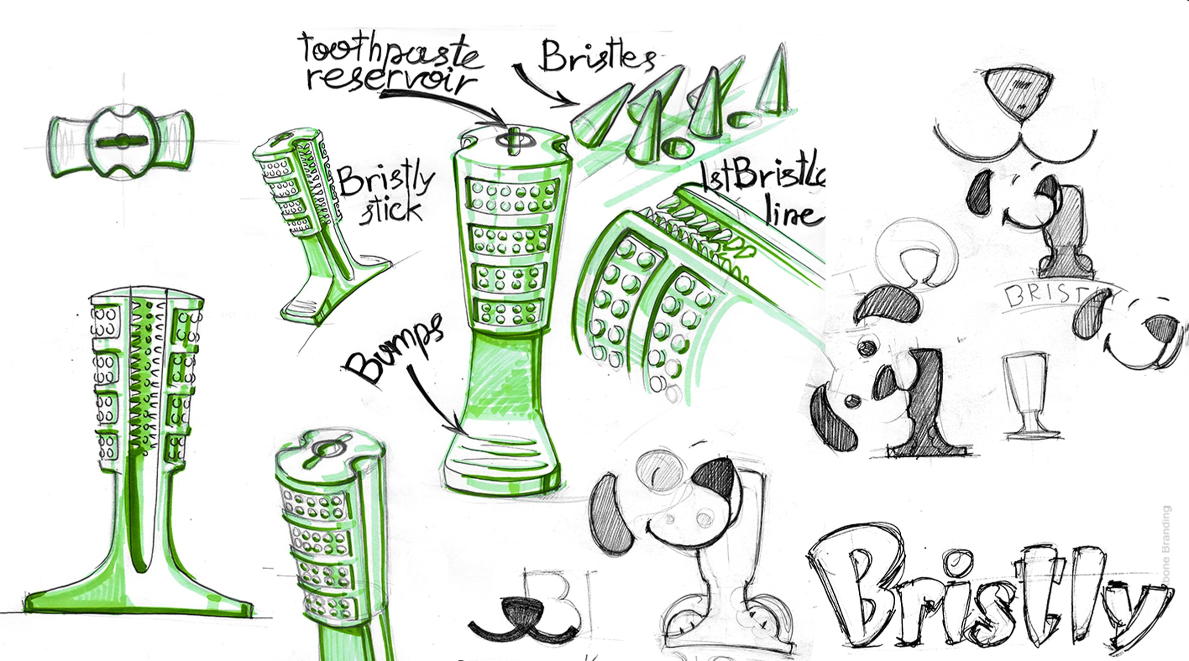 BRISTLY BRUSHING STICK Branding - Backbone