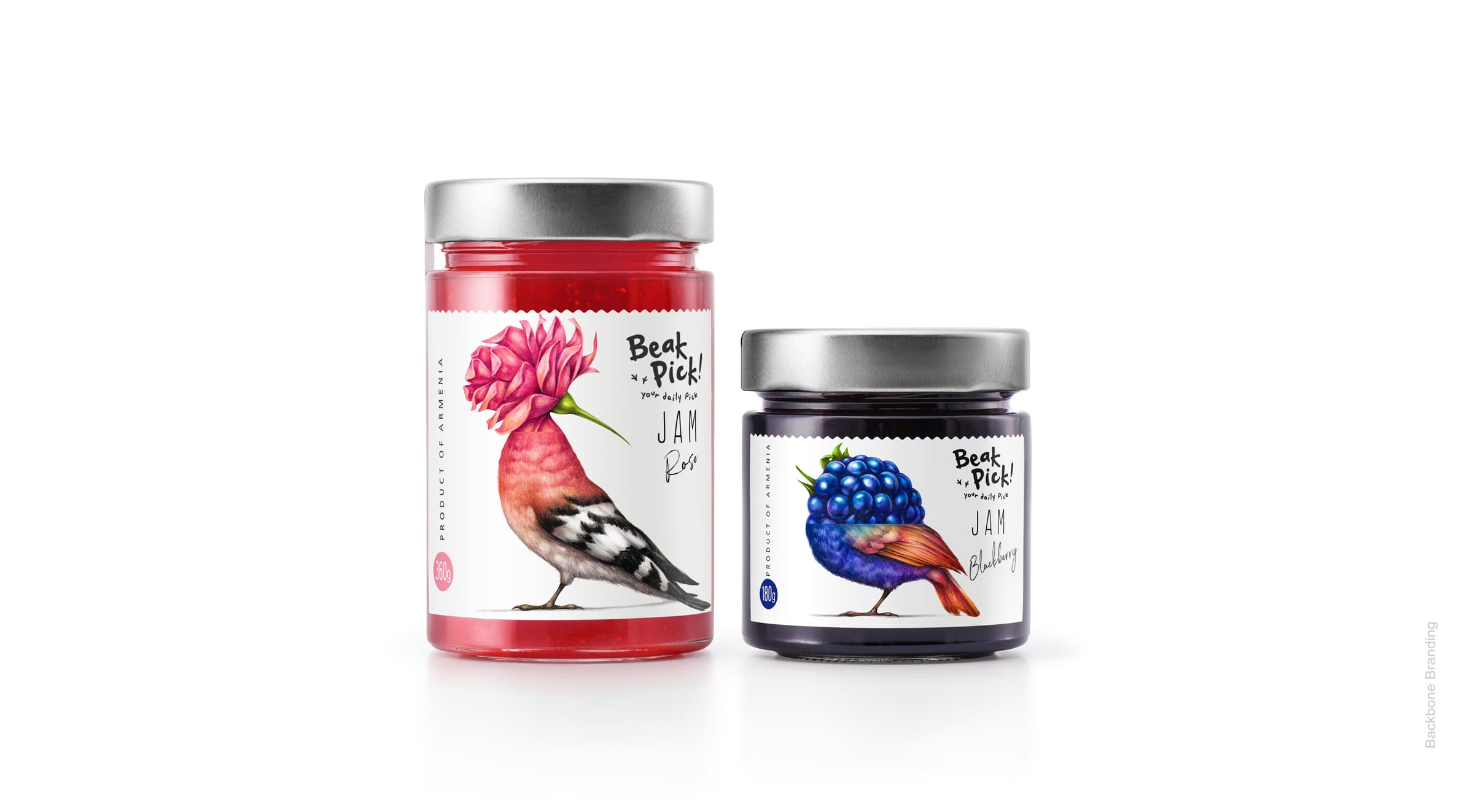 BEAK PICK! Branding - Backbone
