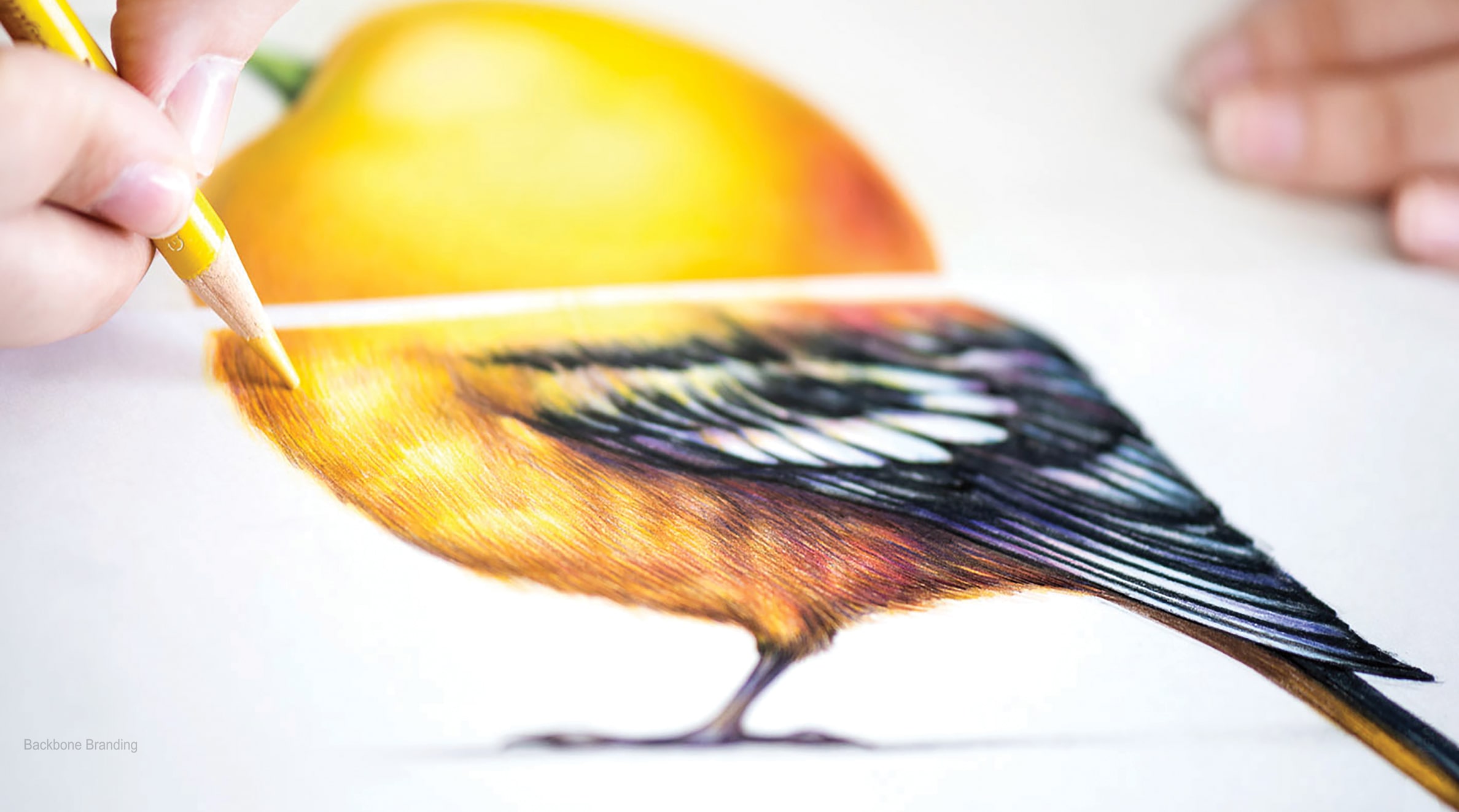 BEAK PICK! Branding - Backbone