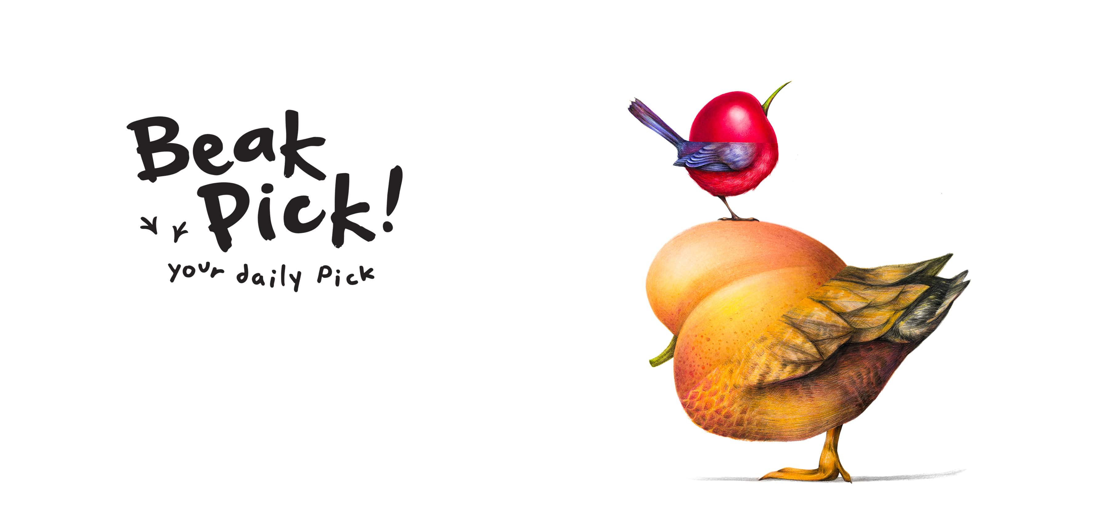 BEAK PICK! Branding - Backbone