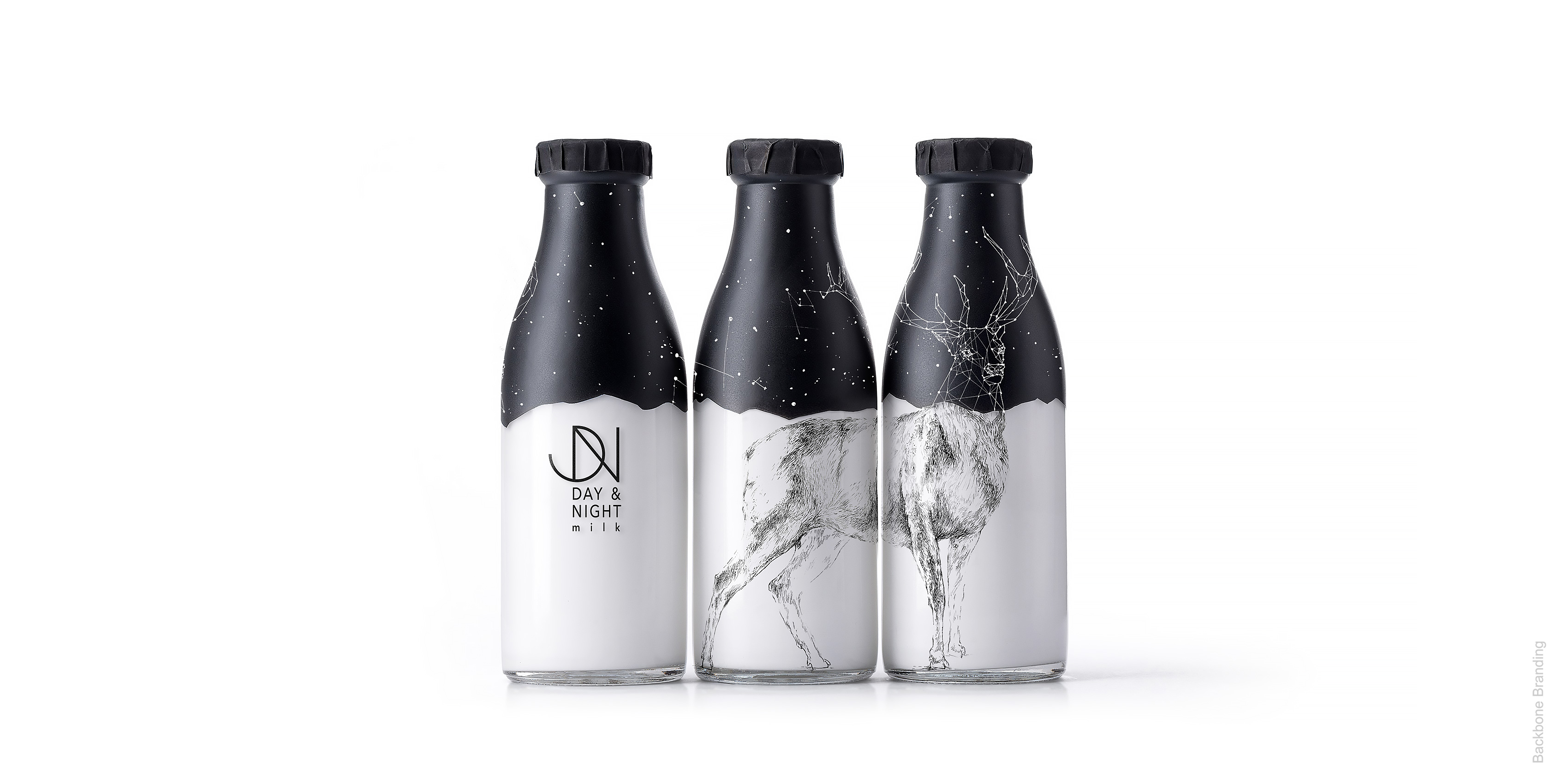DAY & NIGHT Branding - Backbone