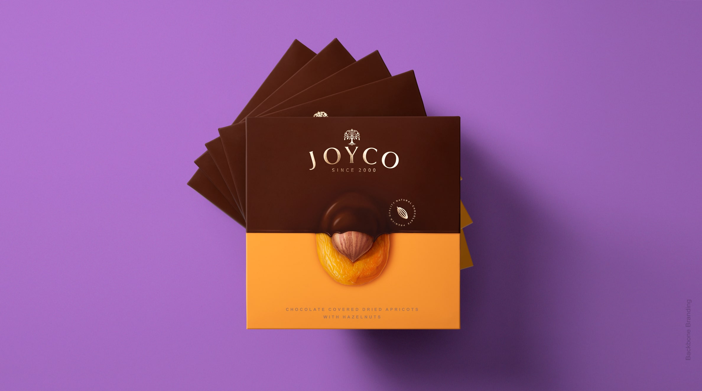 Joyco Branding - Backbone