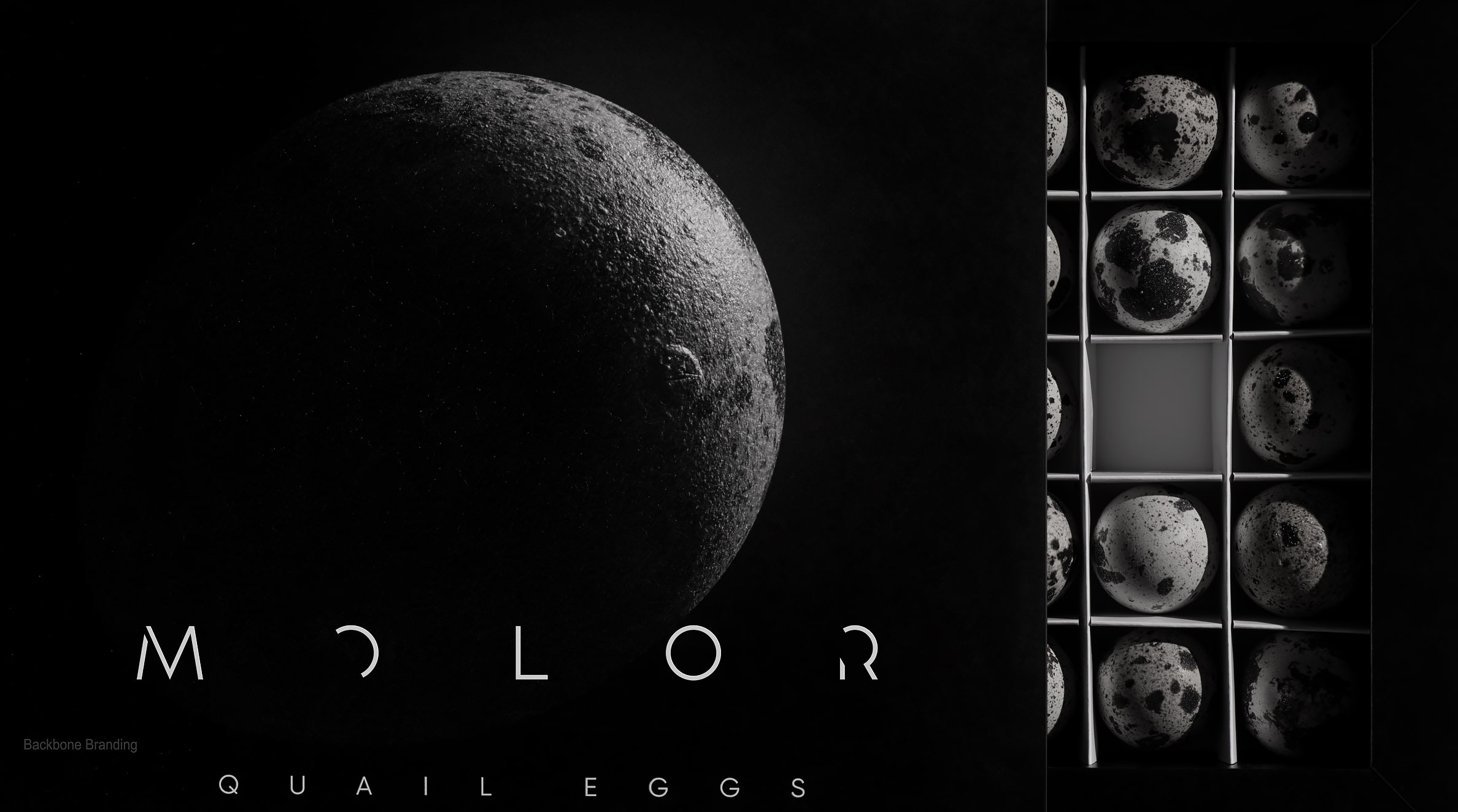 Molor Branding - Backbone