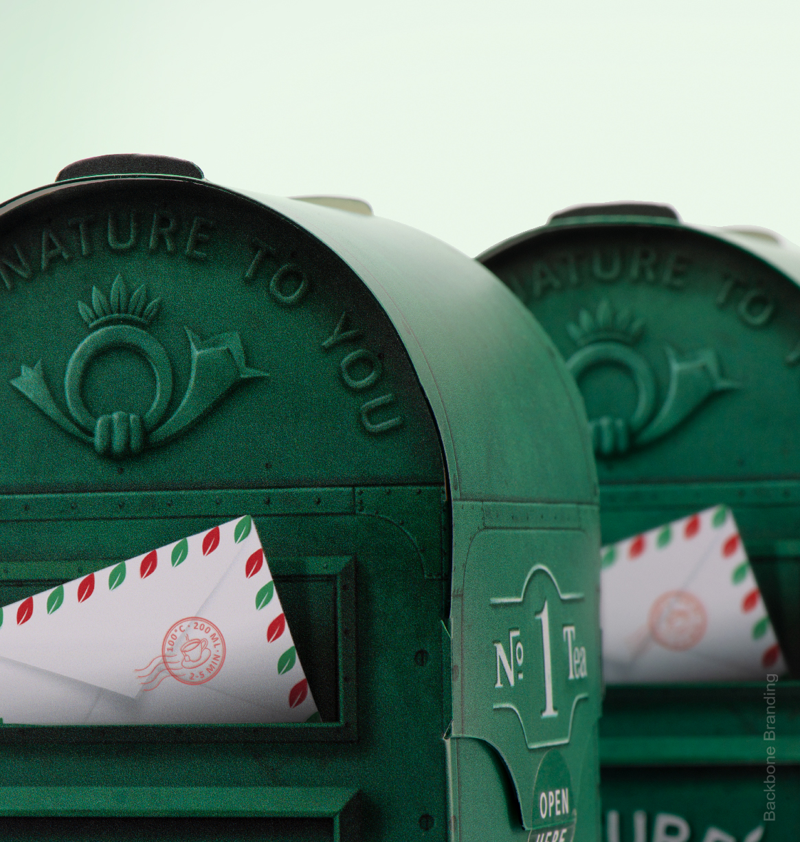 Nature's PostBackbone Branding