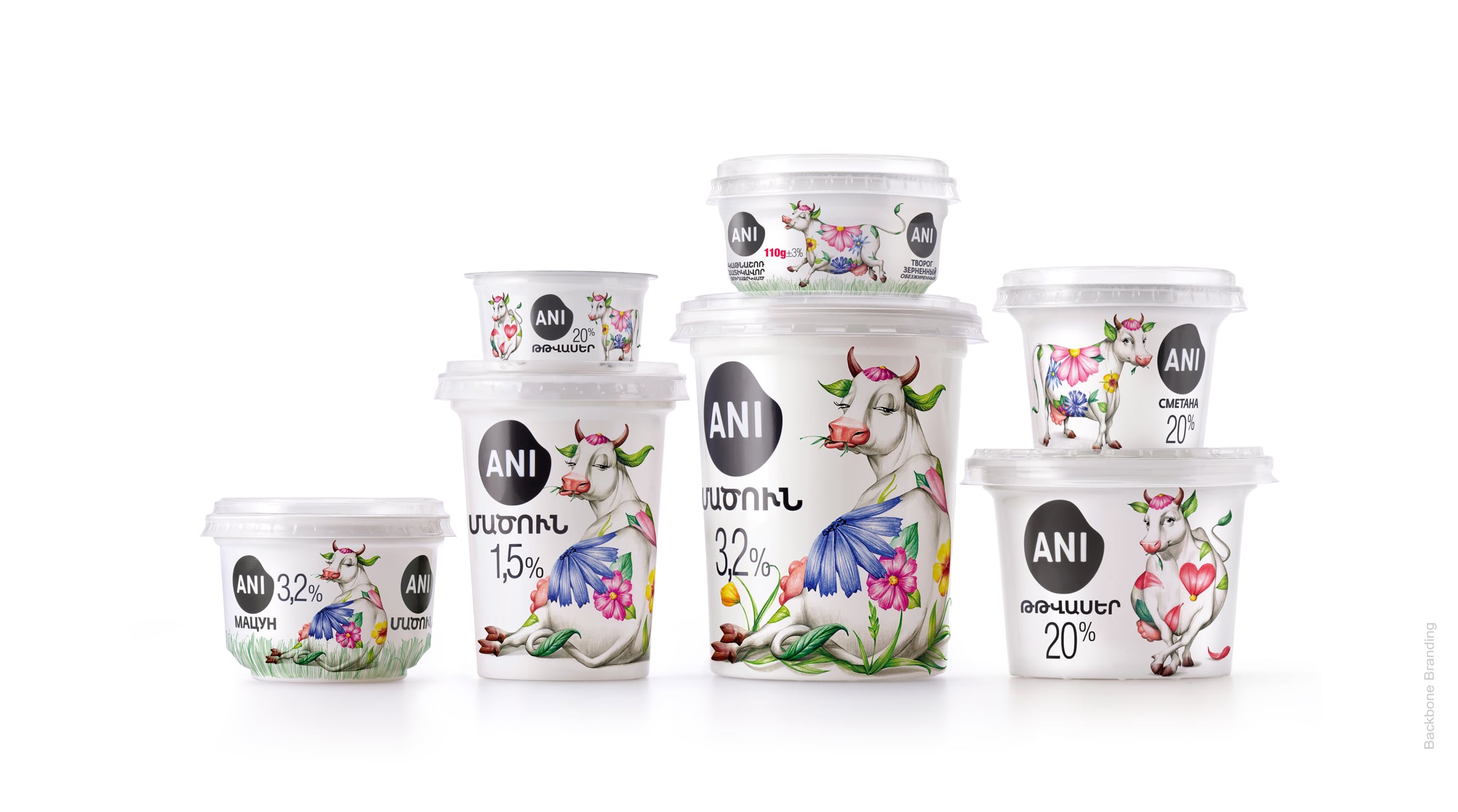 ANI DAIRY Branding - Backbone