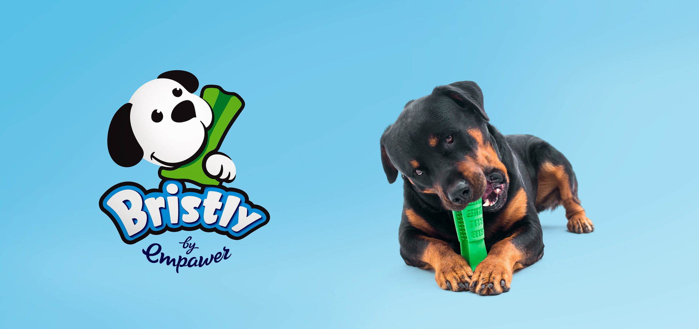 BRISTLY BRUSHING STICK Branding - Backbone