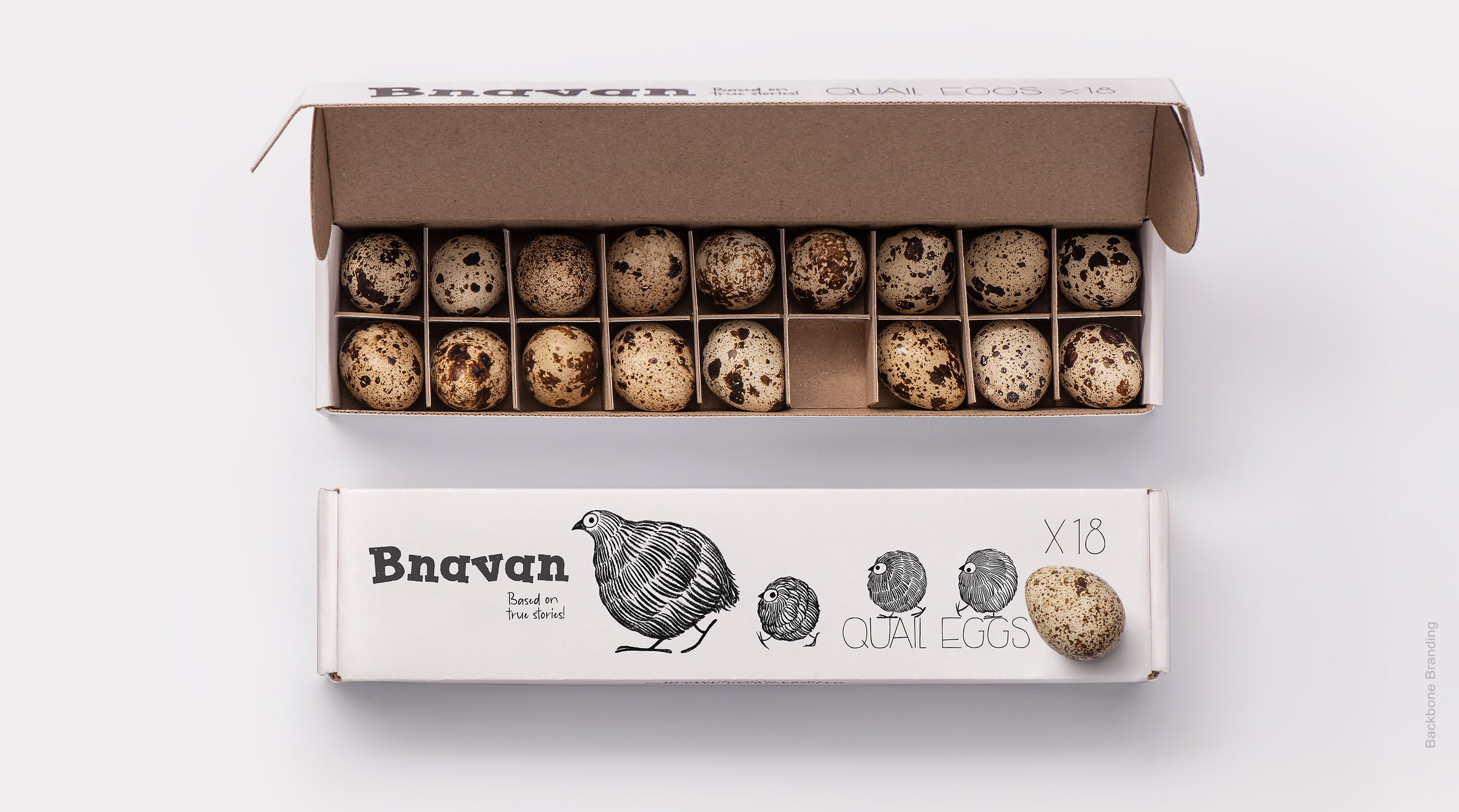 BNAVAN EGGS Branding - Backbone