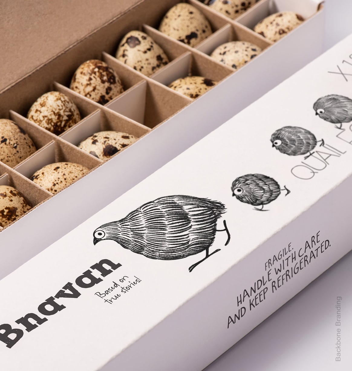 BNAVAN EGGS Branding - Backbone