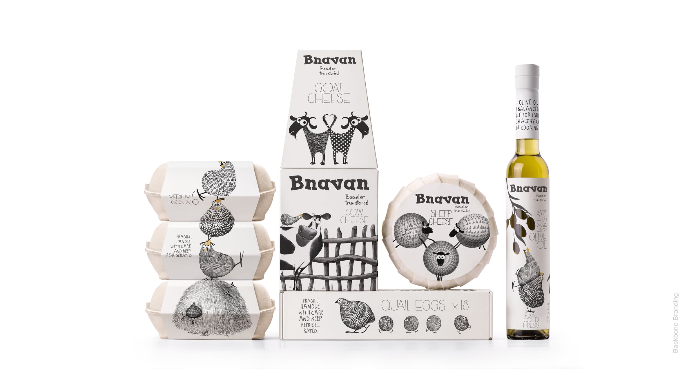 BNAVAN BRAND IDENTITY Branding - Backbone