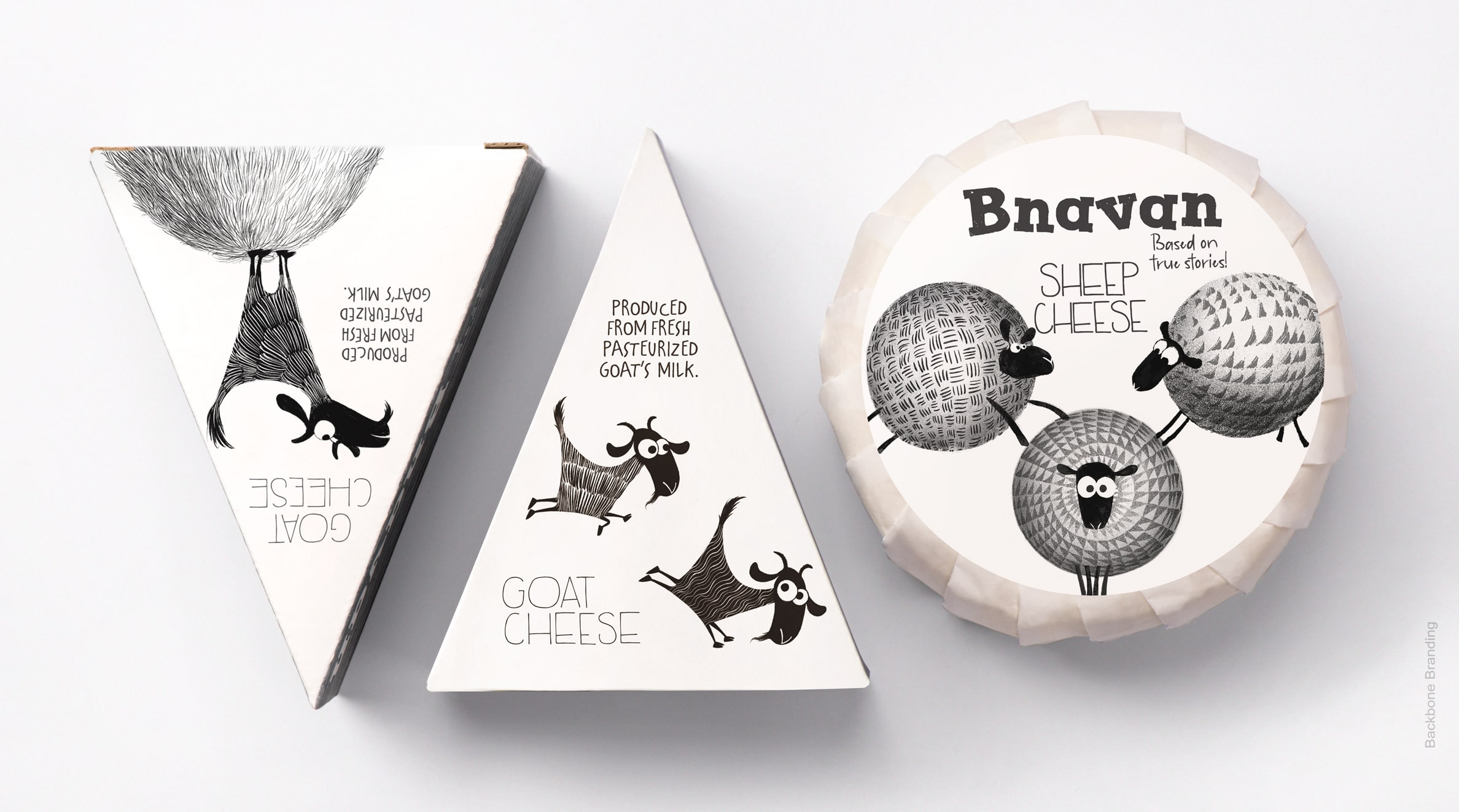 BNAVAN BRAND IDENTITY Branding - Backbone