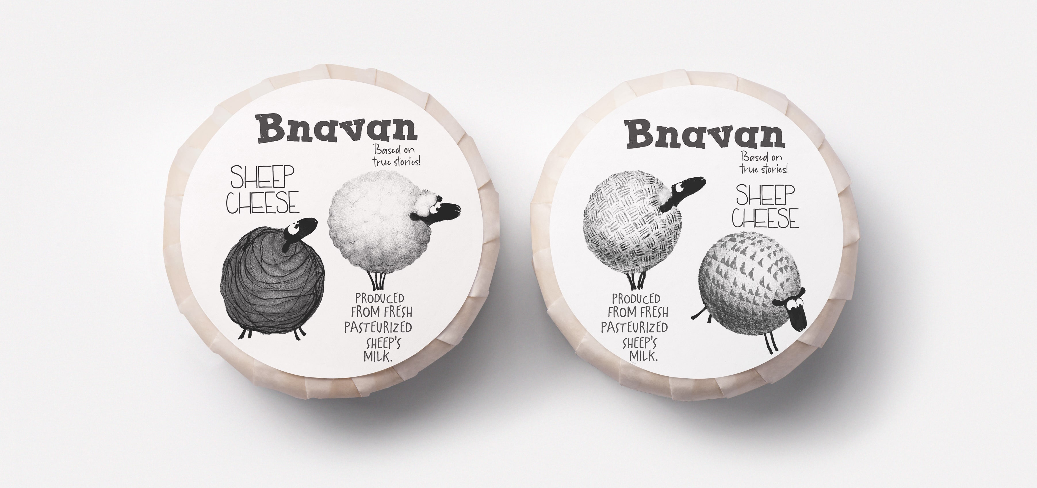 BNAVAN BRAND IDENTITY Branding - Backbone