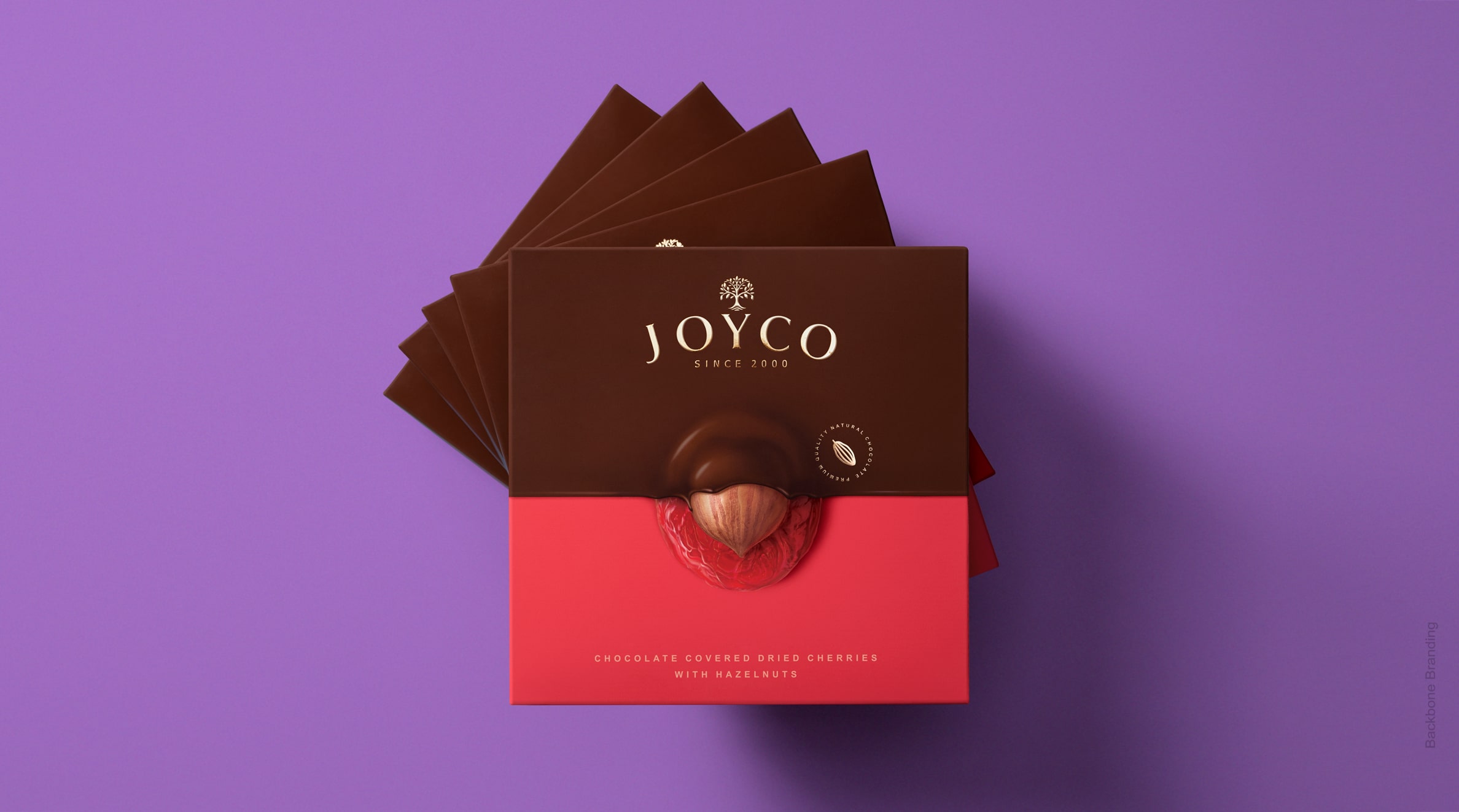 Joyco Branding - Backbone